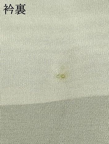 平和屋着物▽上質な紬 単衣 霞文 ますいわ屋扱い 正絹