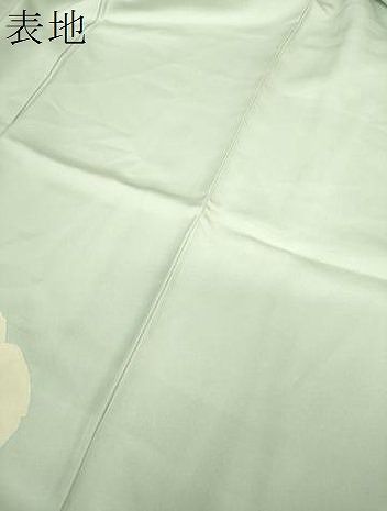 平和屋着物○訪問着 作家物 手描き 胡蝶蘭 銀彩 正絹 逸品 DAAZ0679ps