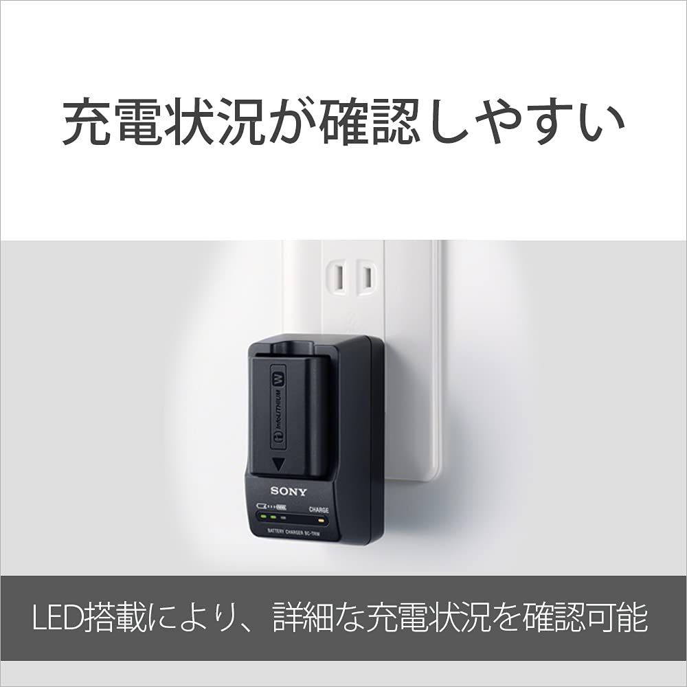 ソニー(SONY) カメラ用バッテリー+チャージャーセット ACC-TRW(Wバッテリー用) - メルカリ