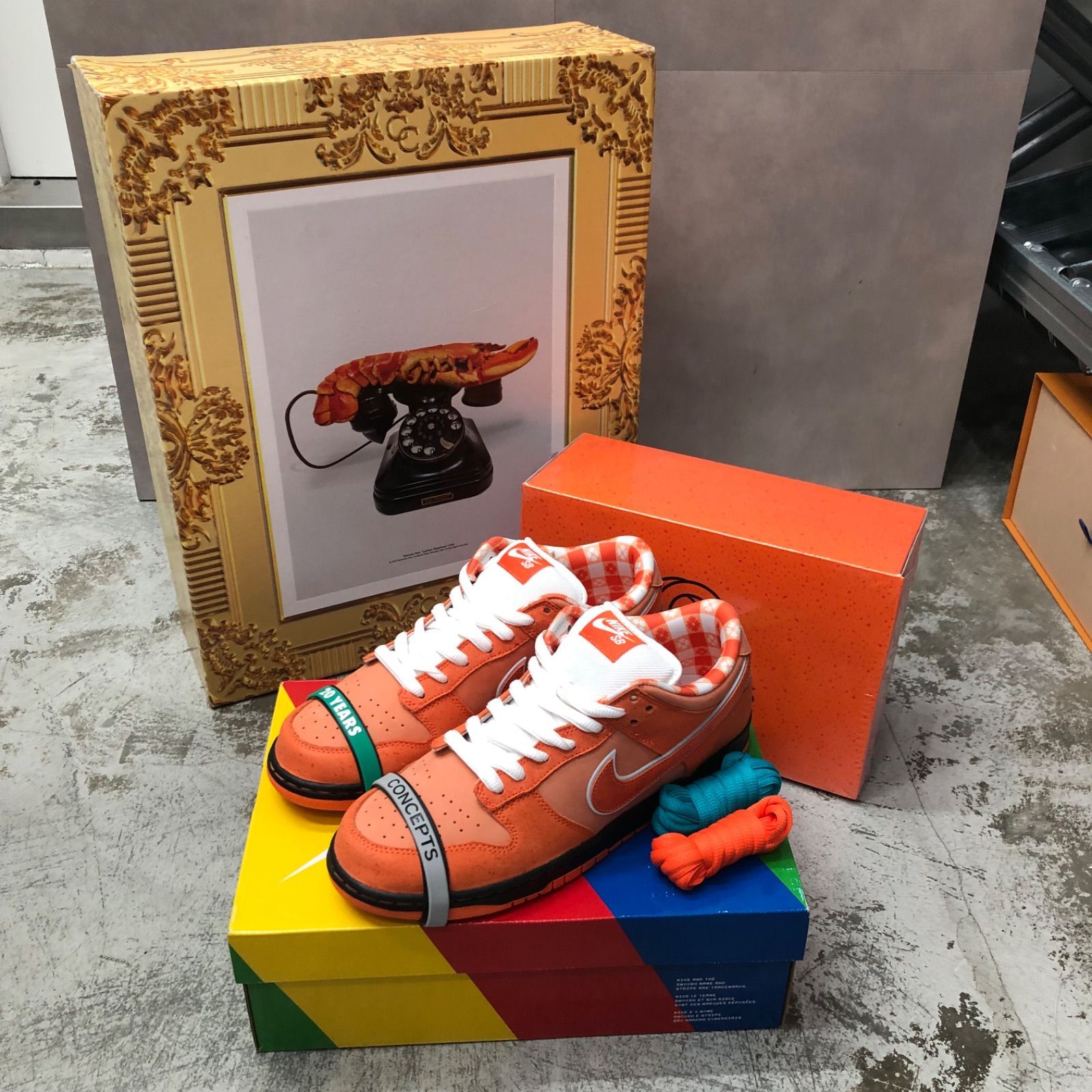 未使用 NIKE SB Concepts スペシャルボックス Dunk Low SP 