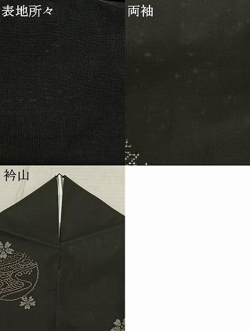 平和屋着物○本場大島紬 カタス9マルキ 地空き 舞桜丸文 黒地 さが美