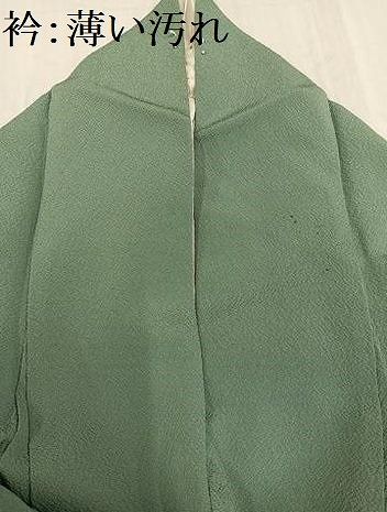 平和屋着物□ファッションデザイナー 花井幸子 色無地 柳染色 正絹