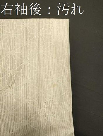 平和屋着物□上質な紬 麻の葉文様 正絹 逸品 CABB3419oy - メルカリ