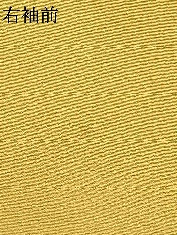 平和屋着物▽上質な色無地 芥子色 正絹 逸品 AABF0209fy - メルカリ