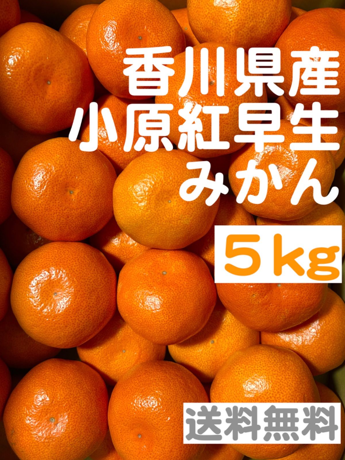 令和6年 香川県産 小原紅早生 みかん 2L〜3L 5kg - メルカリ