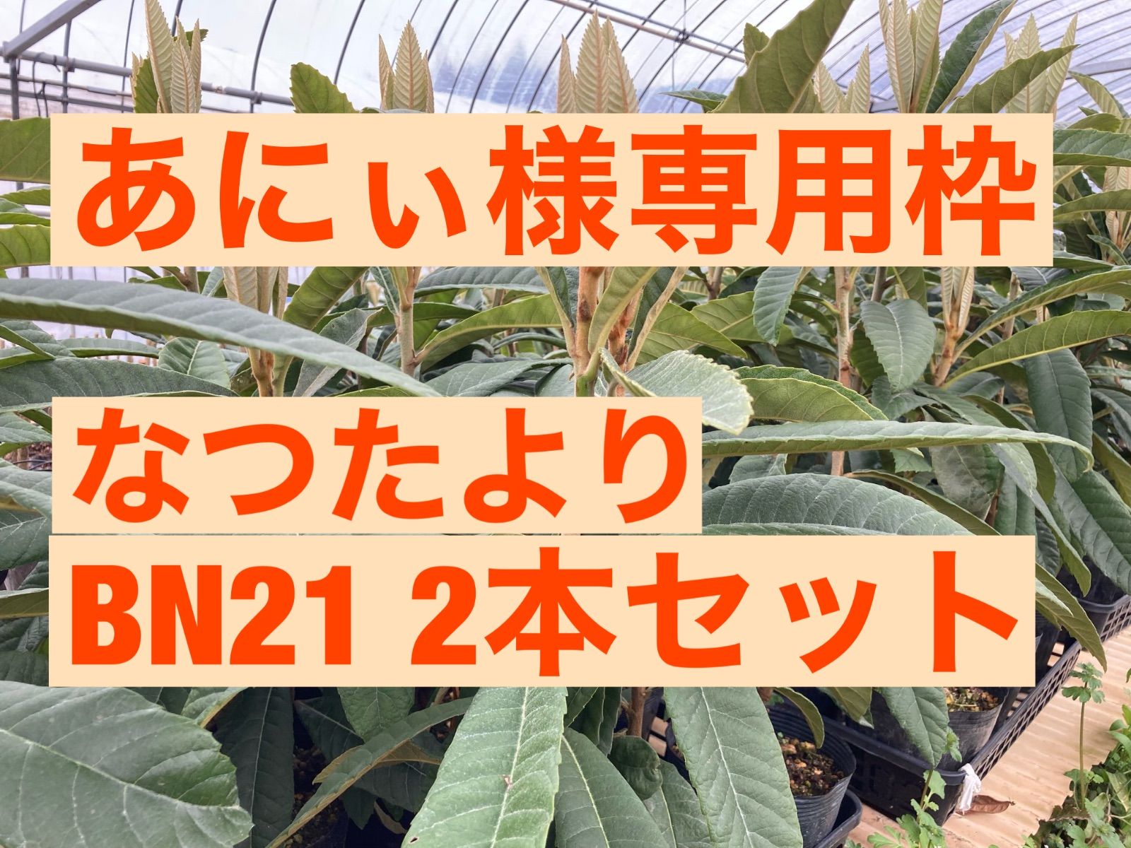 あにぃ様専用枠 なつたより BN21 2本セット - メルカリ