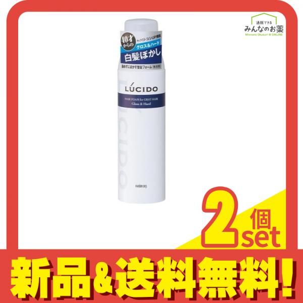 LUCIDO(ルシード) 白髪用整髪フォーム グロス&ハード 185g 2個セット まとめ売り - メルカリ