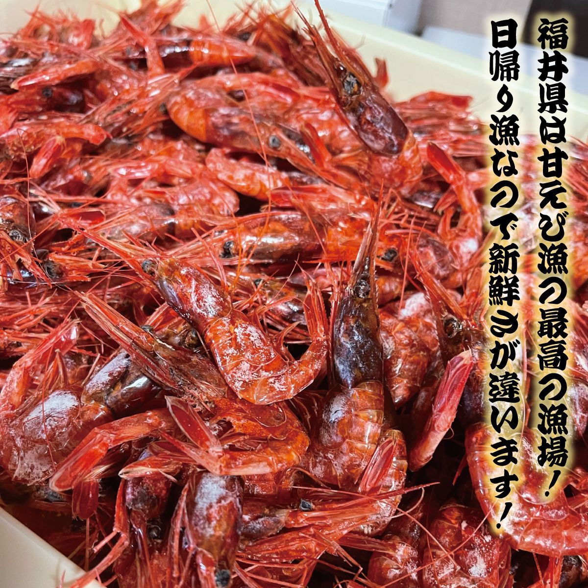 甘エビ 干し甘えび 乾燥甘えび 甘海老 おつまみ 無添加 素干し 30g2パック - メルカリShops