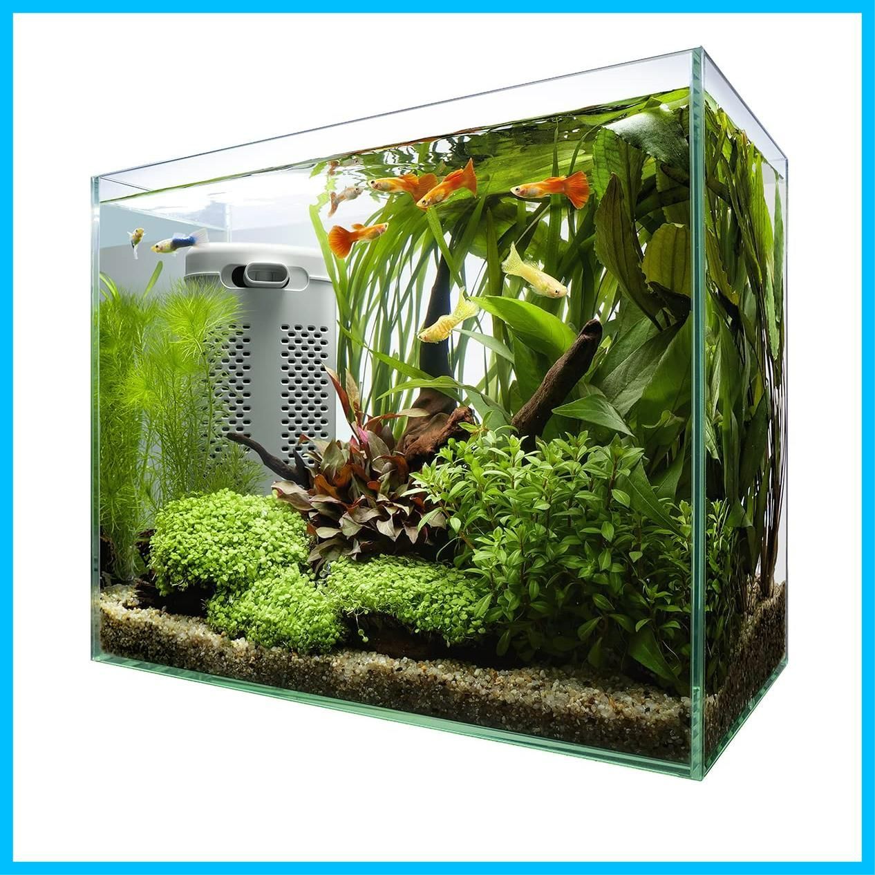 金魚 その他 メダカ 熱帯魚 アクアリウム 水槽 30 魚 サイレントフレックス メルカリshops
