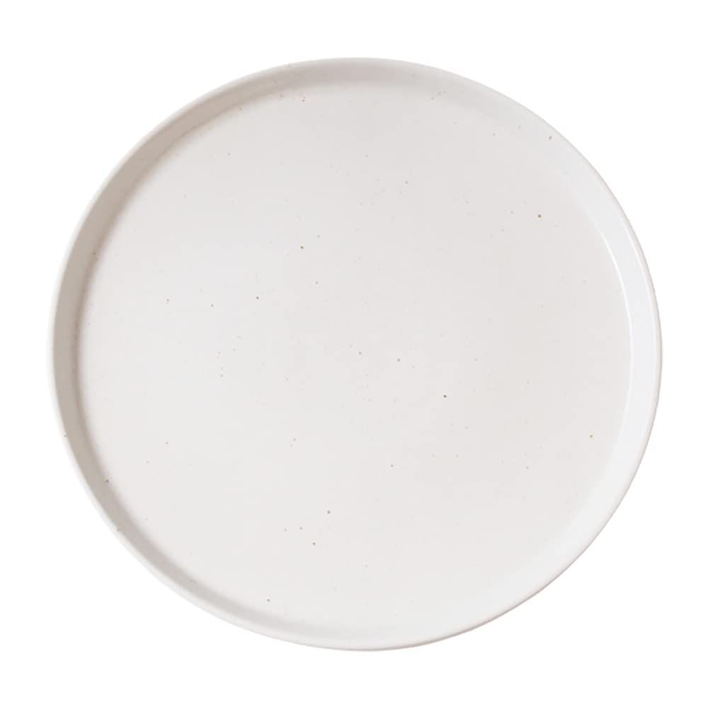 新着商品Gstage 35029301983502930211 シャープsharp互換 電子レンジ用 丸皿 ターンテーブル 回転皿 下皿 セラミックトレイ A135 A144 - メルカリ