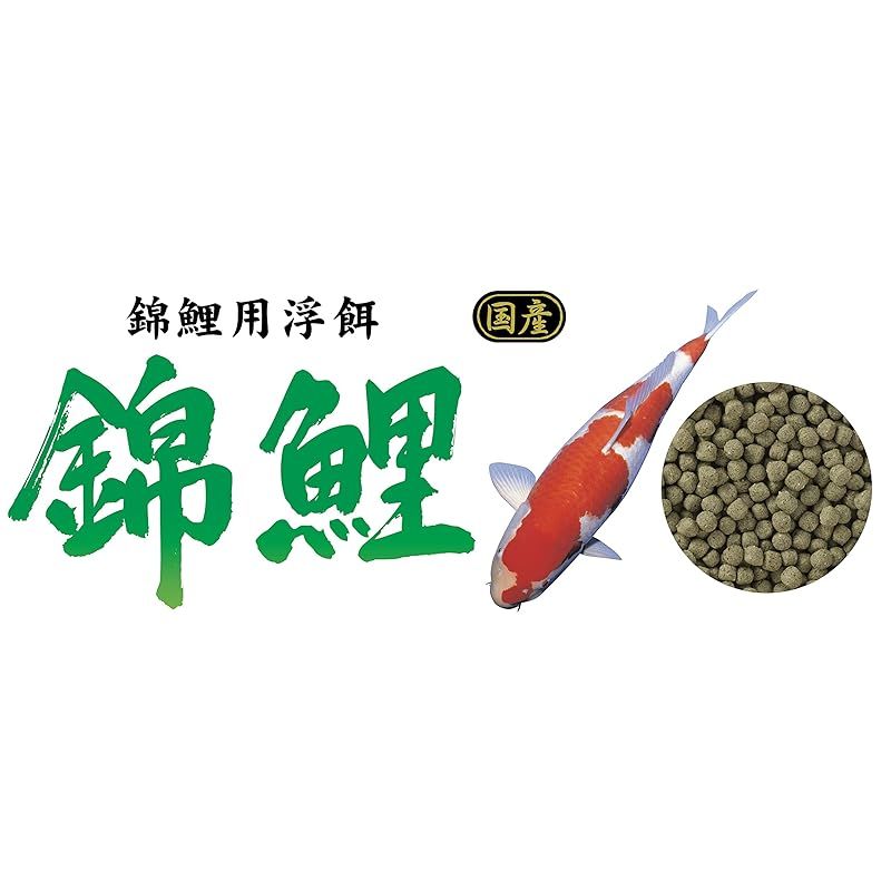 皿□支那皿 染付魚紋 青華 古い飾り皿 古玩 唐物 中国 古美術 皿□支那皿 染付魚紋 青華 古い飾り皿 古玩 唐物 中国 古美術