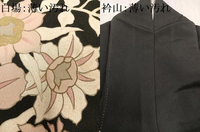 平和屋着物○訪問着 枝花文 黒地 金彩 鬼しぼ縮緬 正絹 逸品