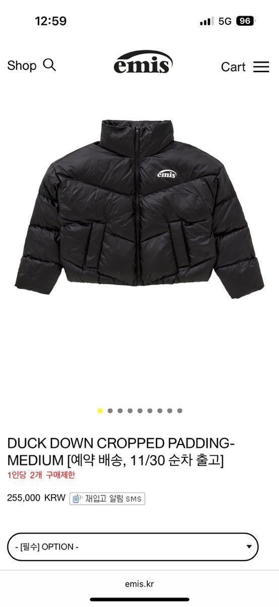 【Bunjang商品韓国直送】パディングが足りない EMIS DUCK DOWN CROPPED PADDING ー M - メルカリ