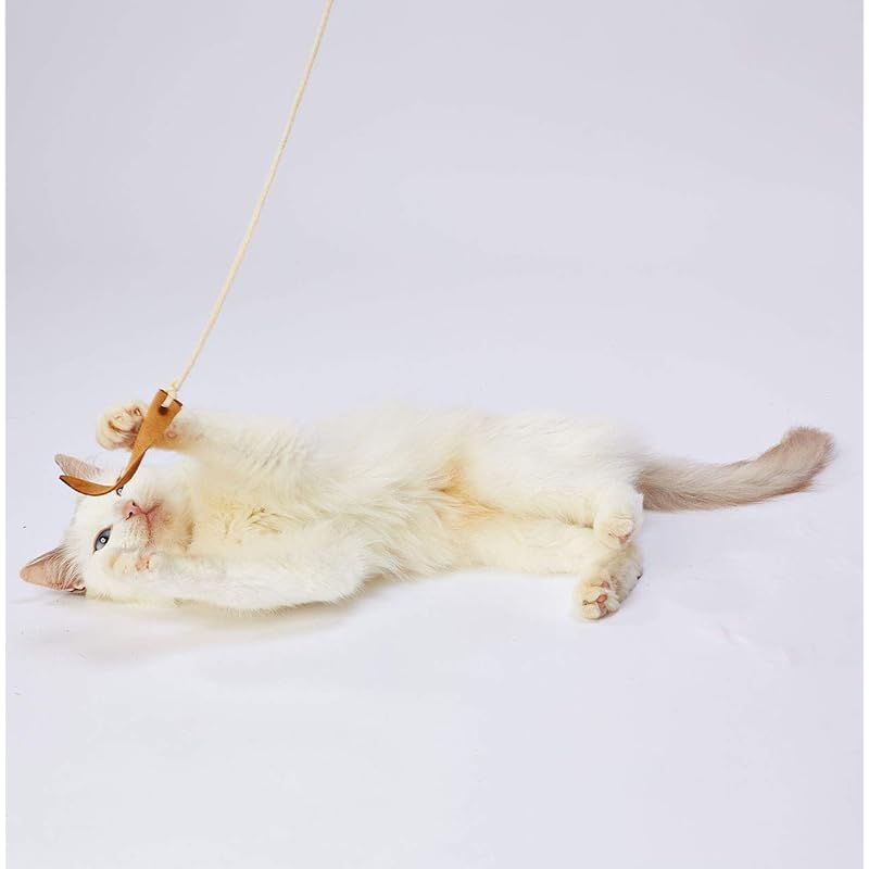 ペティオ (Petio)猫用おもちゃnecoco レザー猫じゃらし ヒモ付きレザー 0 - メルカリ