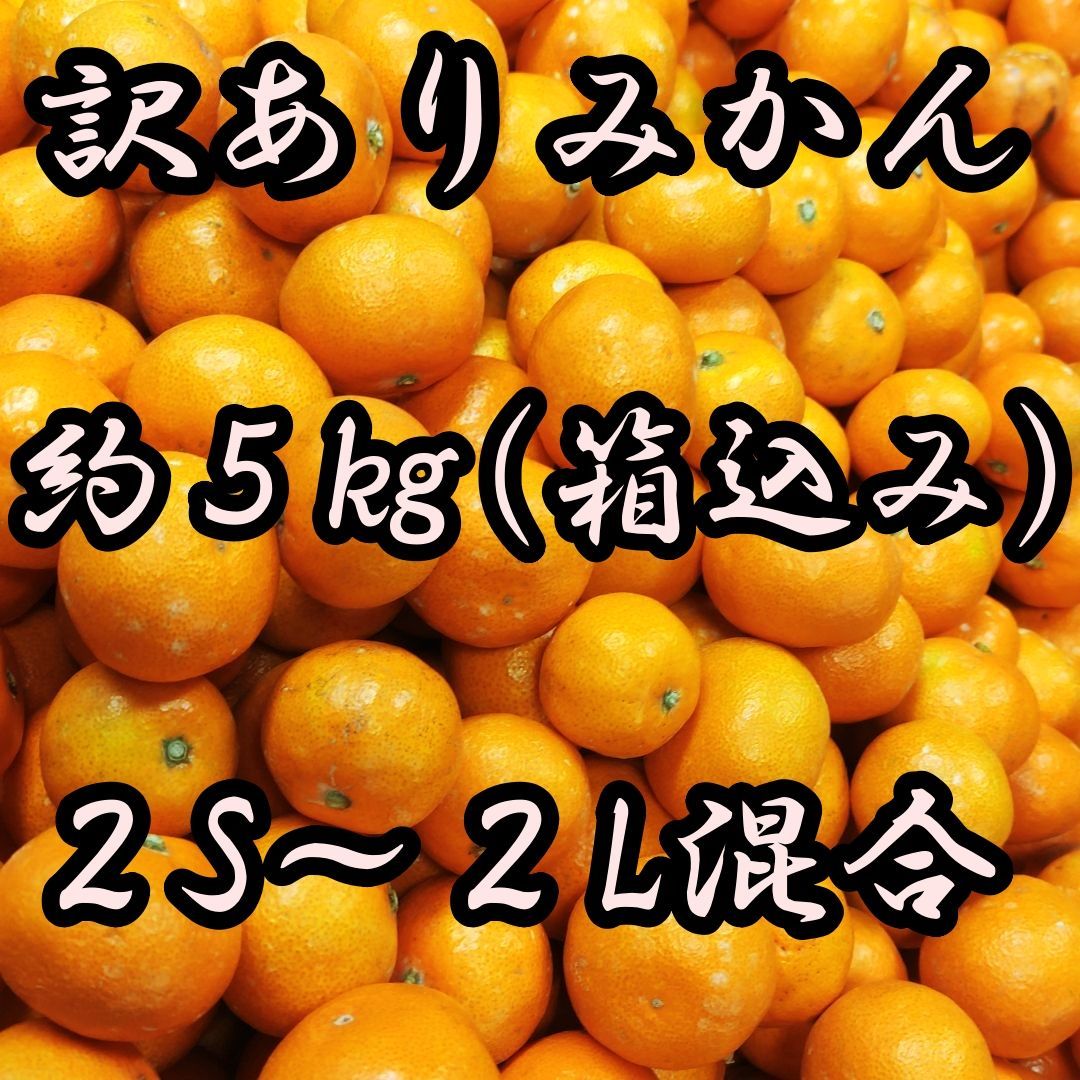 訳ありみかん 箱込み約5kg 2S〜2L混合 - メルカリ
