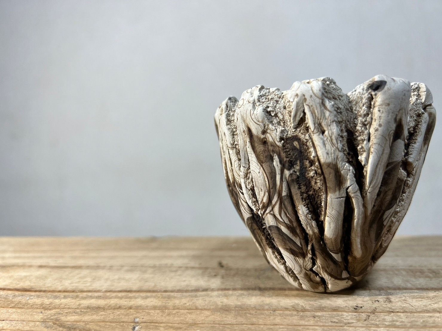 15. plants monster 一点物 鉢【PLANET】検索（グラキリス SRL RLF カタチ製作所 パキプス アガベ invisible ink raw life factory ...