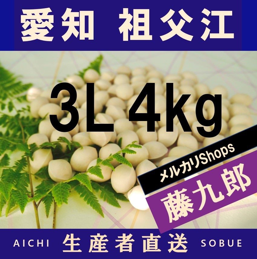 2023年新物 藤九郎 銀杏 生産者直送 祖父江産 ぎんなん 3L 4kg - ファームそぶえ - メルカリ
