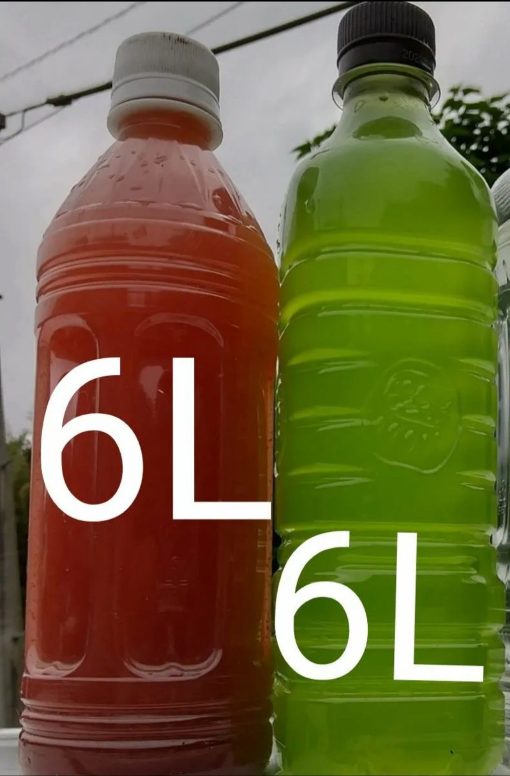 PSB(光合成細)6L&天然 グリーンウォーター(種水．青水)6L。メダカ 金魚 ミジンコ ゾウリムシ - メルカリ