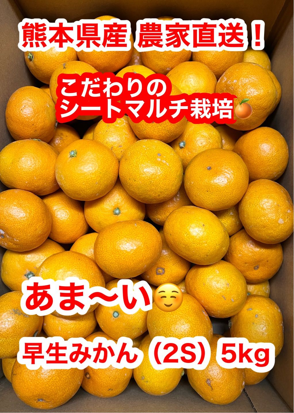 熊本県産！農家直送！特別マルチ栽培！早生みかん（2S）5kg - メルカリ