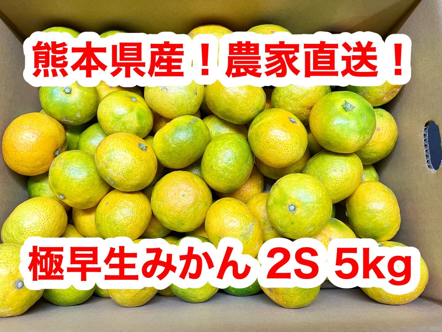 熊本県産！農家直送！送料込み！極早生みかん2S 5kg - メルカリ