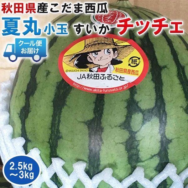 【クール便指定】あきた夏丸 すいか 小玉 西瓜 チッチェ スイカ 2.5kg～3Kg 1玉【秋田県産 西瓜 JA秋田ふるさ】冷蔵庫に入る大きさ こだま西瓜 小さなギフト ちっちゃいスイカ 東北 ...