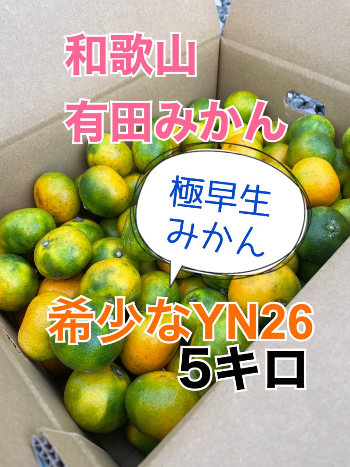 【予約9月20日～】和歌山有田みかん 極早生YN26 5kg - メルカリ