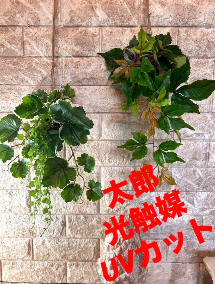 光触媒 人工観葉植物 フェイクグリーン ポトスアイビーとエンジェルゼラニューム@gja - メルカリ