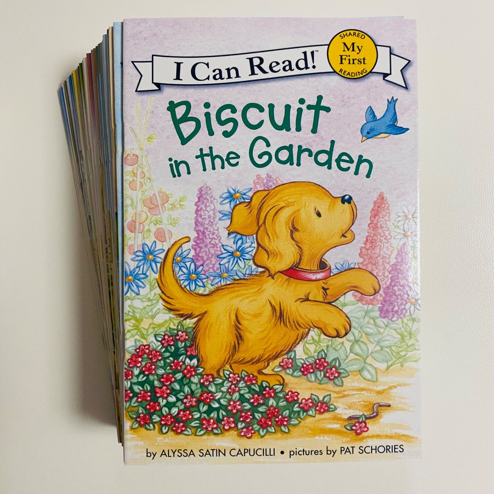 I Can Read My first Biscuit 箱入 27冊 音源付き ビスケット - メルカリ