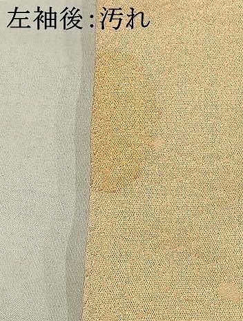 平和屋着物□無地絵羽訪問着 樹林地紋 色無地 飴色 正絹 逸品