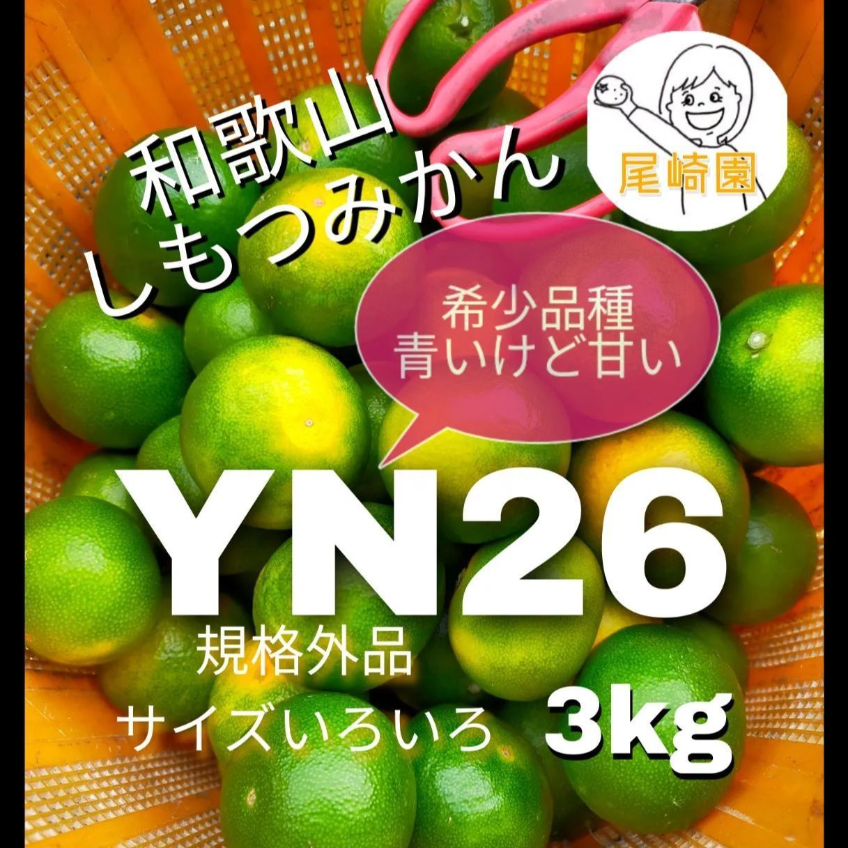 規格外品 和歌山 しもつみかん YN26（希少品種、青いけど甘い）3kg - メルカリ