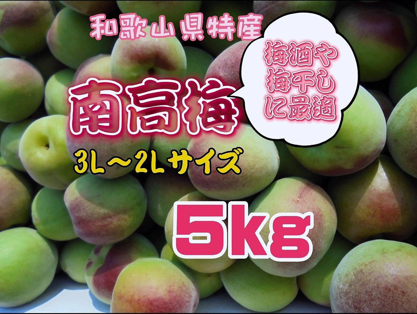 南高梅 5kg 3L〜2Lサイズ - メルカリ