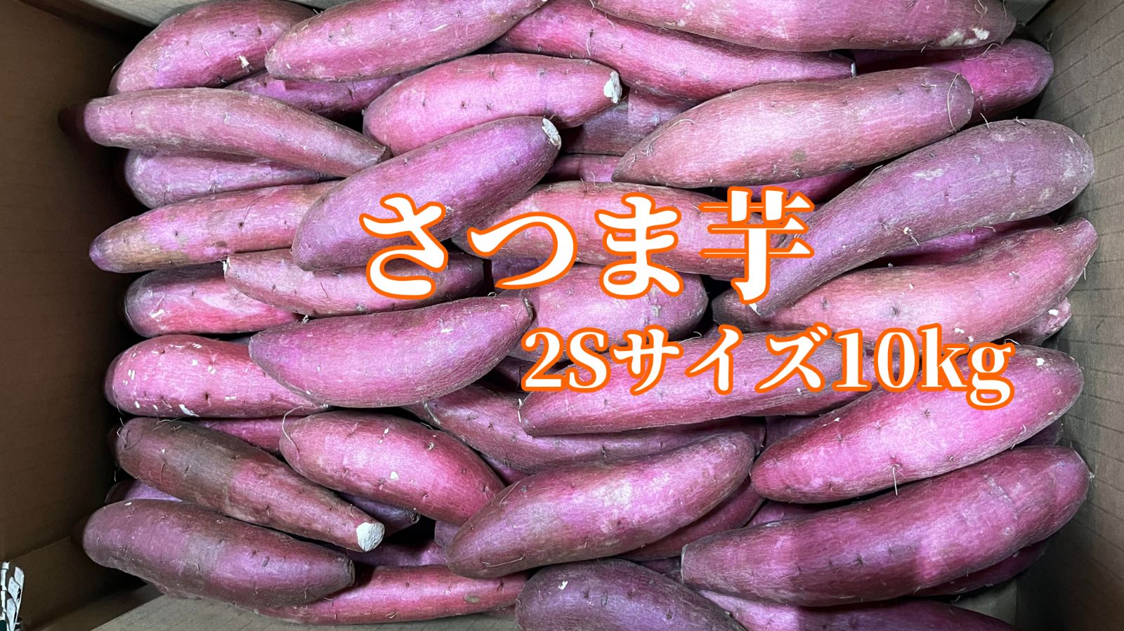 さつま芋 紅はるか/シルクスイートどちらか 10kg 2Sサイズ 一口サイズ - メルカリ