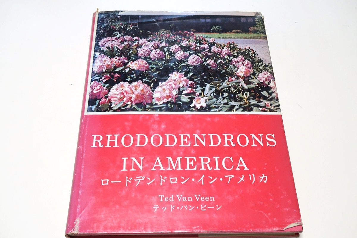 ロードデンドロン・イン・アメリカ バンビーン 豪華な西洋シャクナゲの花々 - メルカリ
