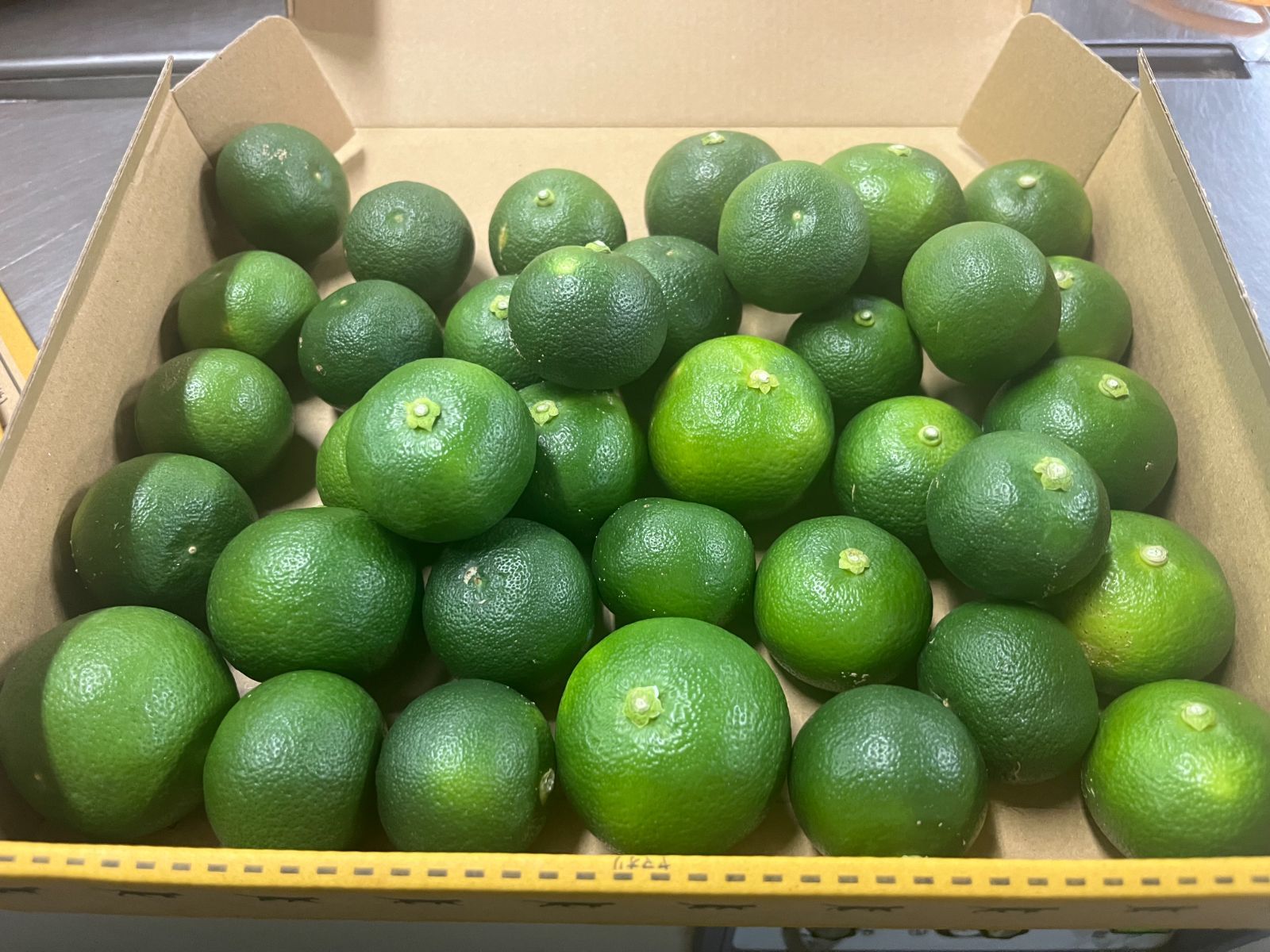 《超お得》【送料無料】すだち 徳島県産 【訳あり1kg】 2L～4L 混合 徳島産 お買い得品 お刺身 焼き魚 すだち酒 酢の物料理 スダチ 家庭用 お得 安い - メルカリShops