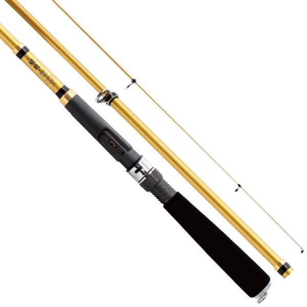 宇崎日新 船竿 闘龍 20V 船 | 製品カテゴリー | (株)宇崎日新（