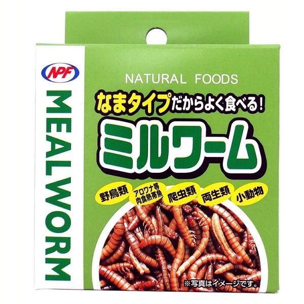 【公式】NPF ミルワーム 35g ジャペル (D)(B) - メルカリ