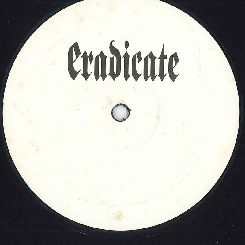 英12” Basement Jaxx Give Peace A Chance / Eradicate PEACE1 NOT ON LABEL ...