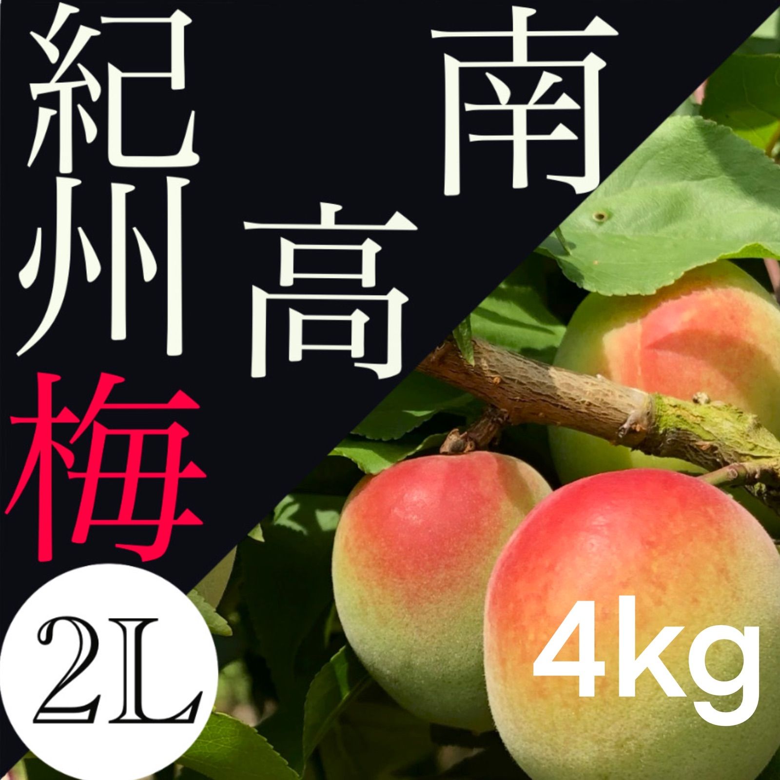 冷【2L・4kg】青梅 南高梅 - メルカリ