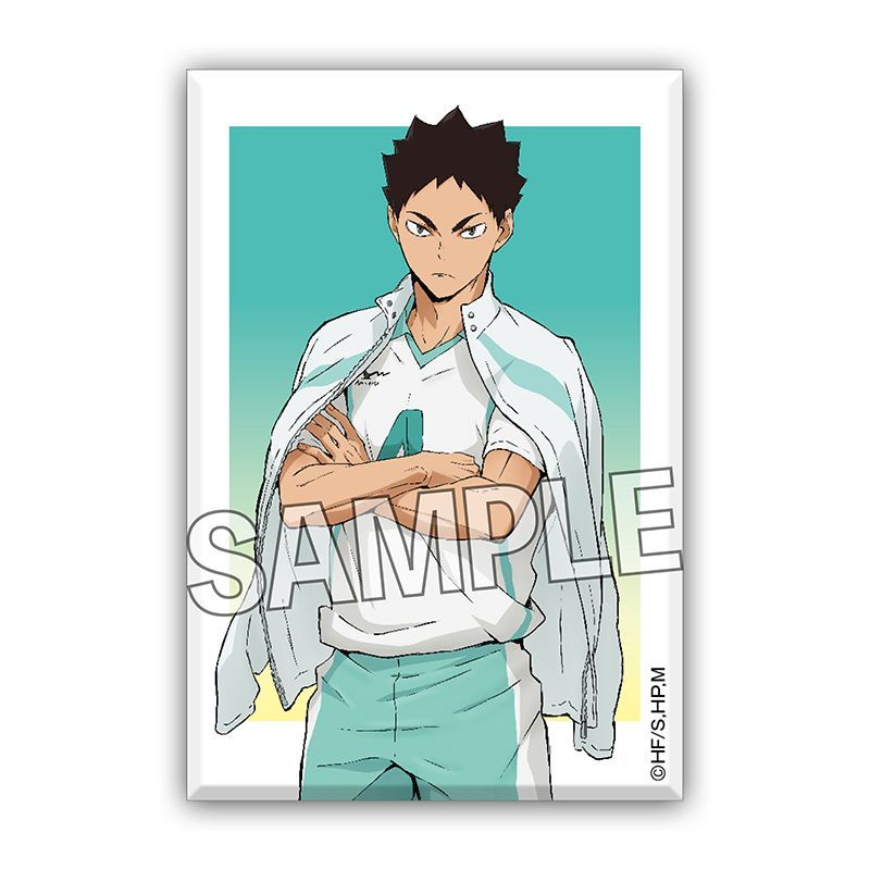 【新品・公式】ハイキュー!! スタパネ vol.2 岩泉一【再販】 公式グッズ colleize - メルカリ