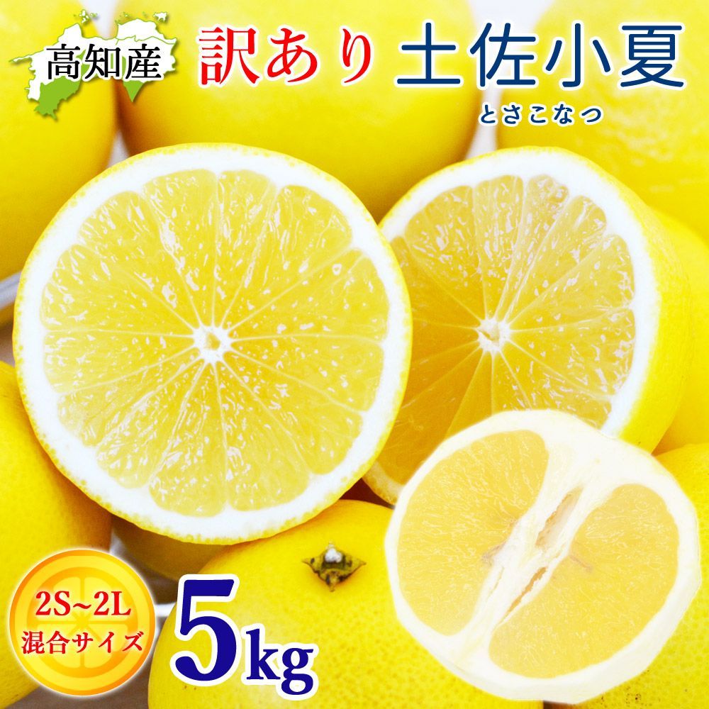 訳あり 土佐小夏 2S～2Lサイズ 混合 5kg 小玉 千の果樹園 宿毛 小夏 高知産 家庭用 宿毛小夏 宿毛 日向夏 高知 ニューサマーオレンジ 5キロ フルーツ 柑橘 産地直送 宅急便 ...
