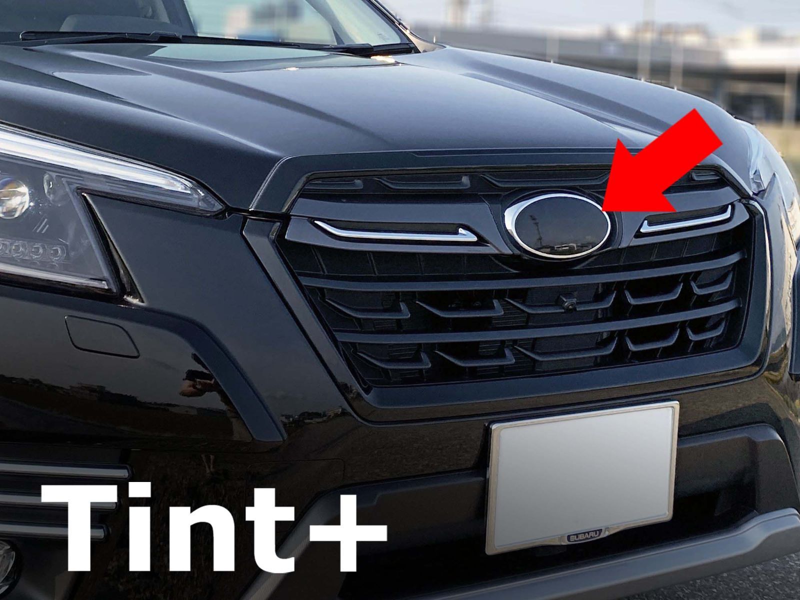 Tint+エンブレム スモークフィルム SK フォレスター (ブラック5％ 前後セット) D/E/F型 SK5/SK9/SKE 後期 sk - メルカリ