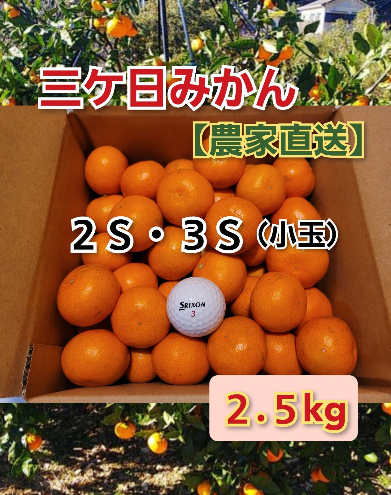 ★早生みかん三ヶ日【2.5kg】2S・3S(小玉)【農家直送】⚠️今期分完売 - メルカリ