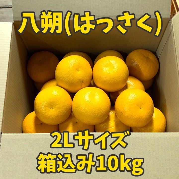 八朔2L 10kg - メルカリ