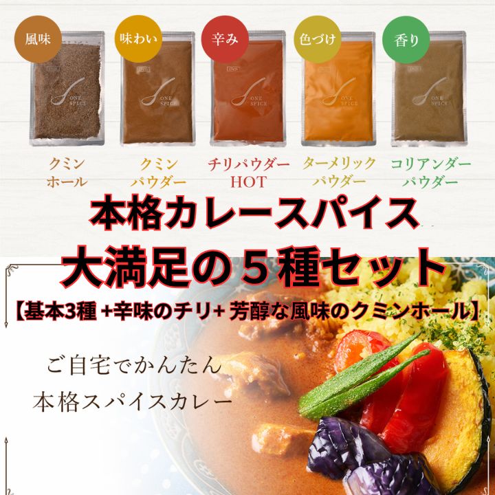 【D'sTs 直営店】 YouTubeで話題のカレースパイス 100g 基本の5種セット ～ ターメリックパウダー クミンパウダー コリアンダーパウダー チリパウダー クミンホール ～ カレー ...