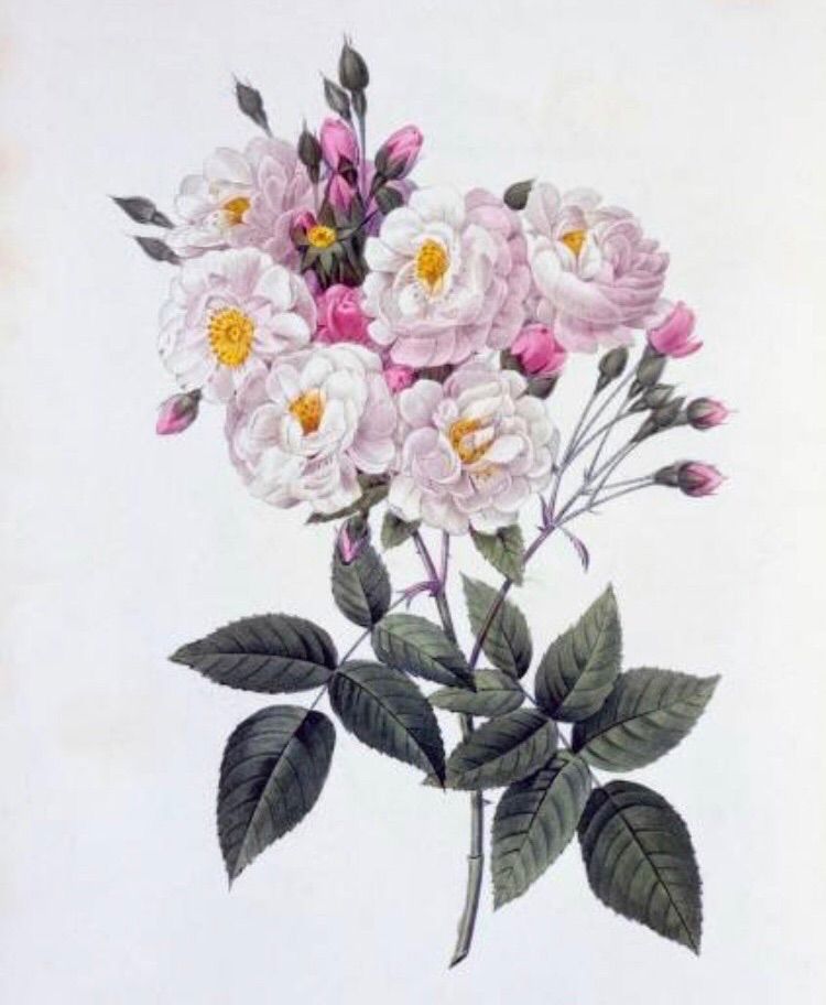 oneone shop🐕 - メルカリShops