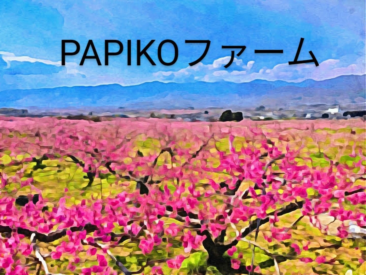 PAPIKOファーム - メルカリShops