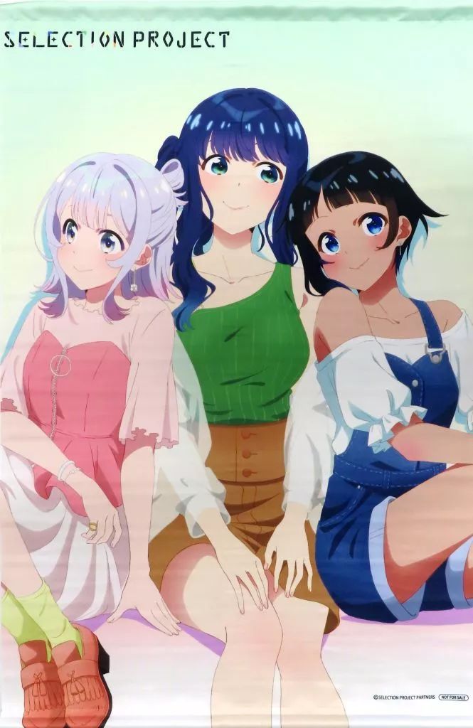 【中古】タペストリー 今鵜凪咲＆当麻まこ＆淀川逢生 アニメ描き下ろしイラスト使用B2タペストリー 「Blu-ray/DVD SELECTION PROJECT」 アニメイト全巻購入特典 - メルカリ