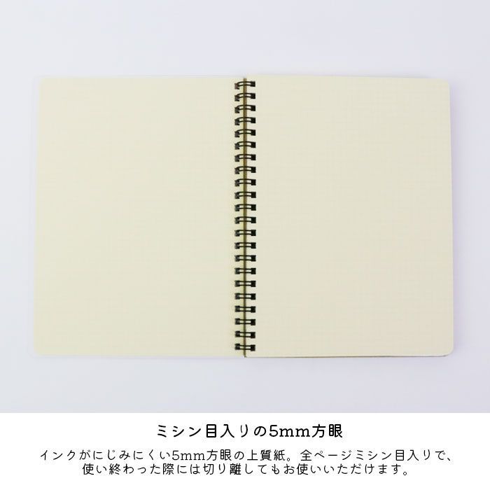 Rollbahn ロルバーン ノート A5 ポケット付メモ 手帳 DELFONICS デルフォニックス メモ帳 500056 A5サイズ 5mm方眼 方眼メモ クリアポケット ミシン目 リング ...