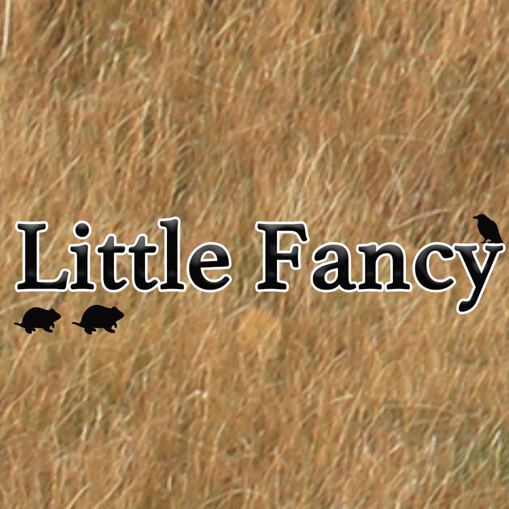 Little Fancy - メルカリShops