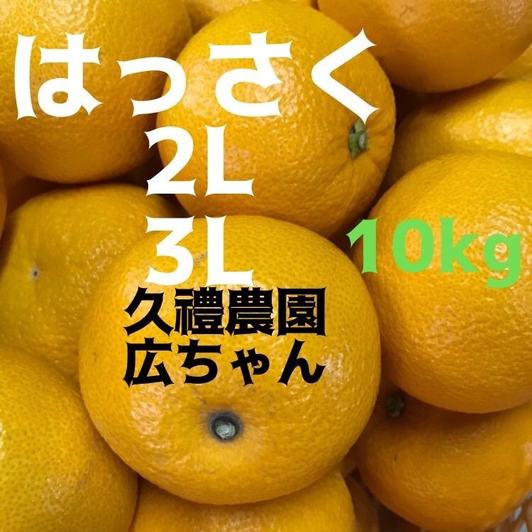 はっさく (2L)(3L) 10kg 久禮農園 広ちゃん - メルカリ